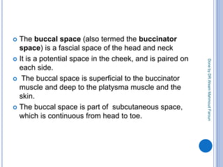 Mandibular facsial spaces | PPTX