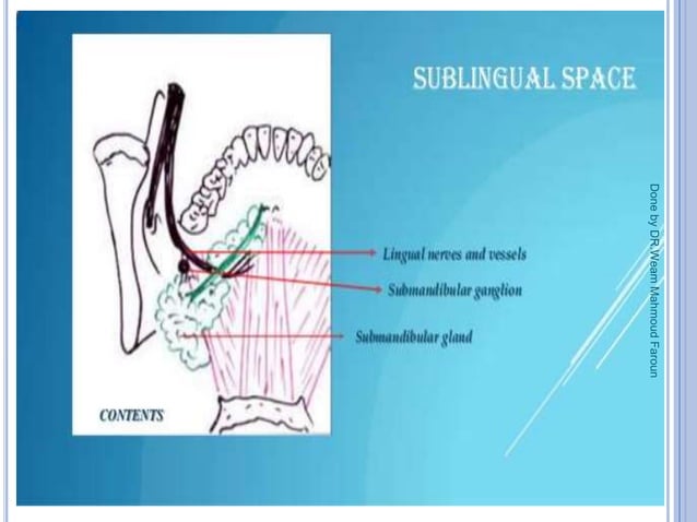 Mandibular facsial spaces | PPTX