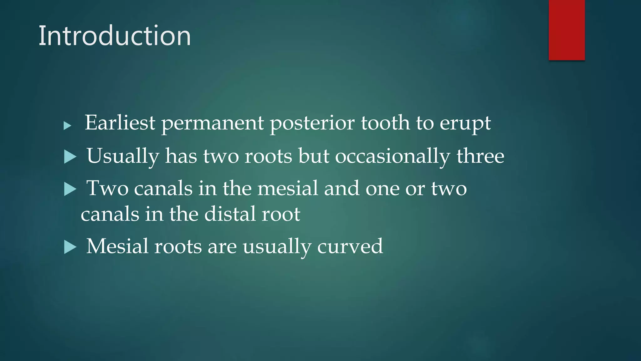 Mandibular first molar pulp canal morphology | PPTX