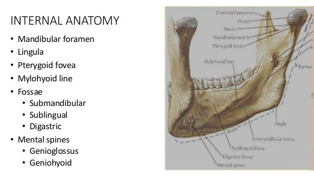 Mandibularfracture by sancheev
