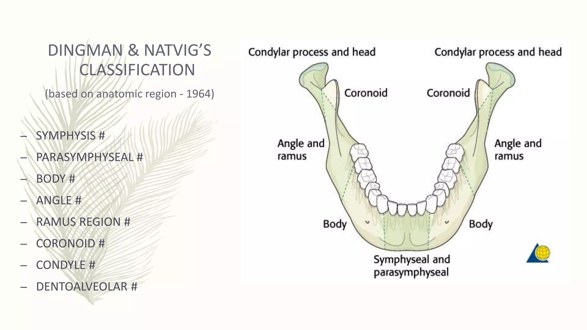 Mandibular Fracture.ppt
