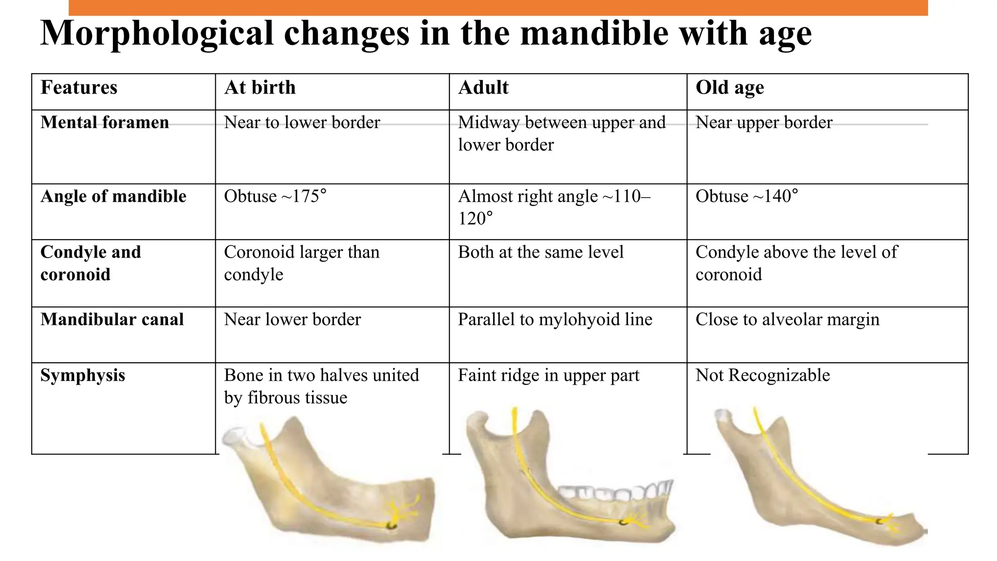 MANDIBULAR FRACTURE in plastic surgery.pptx