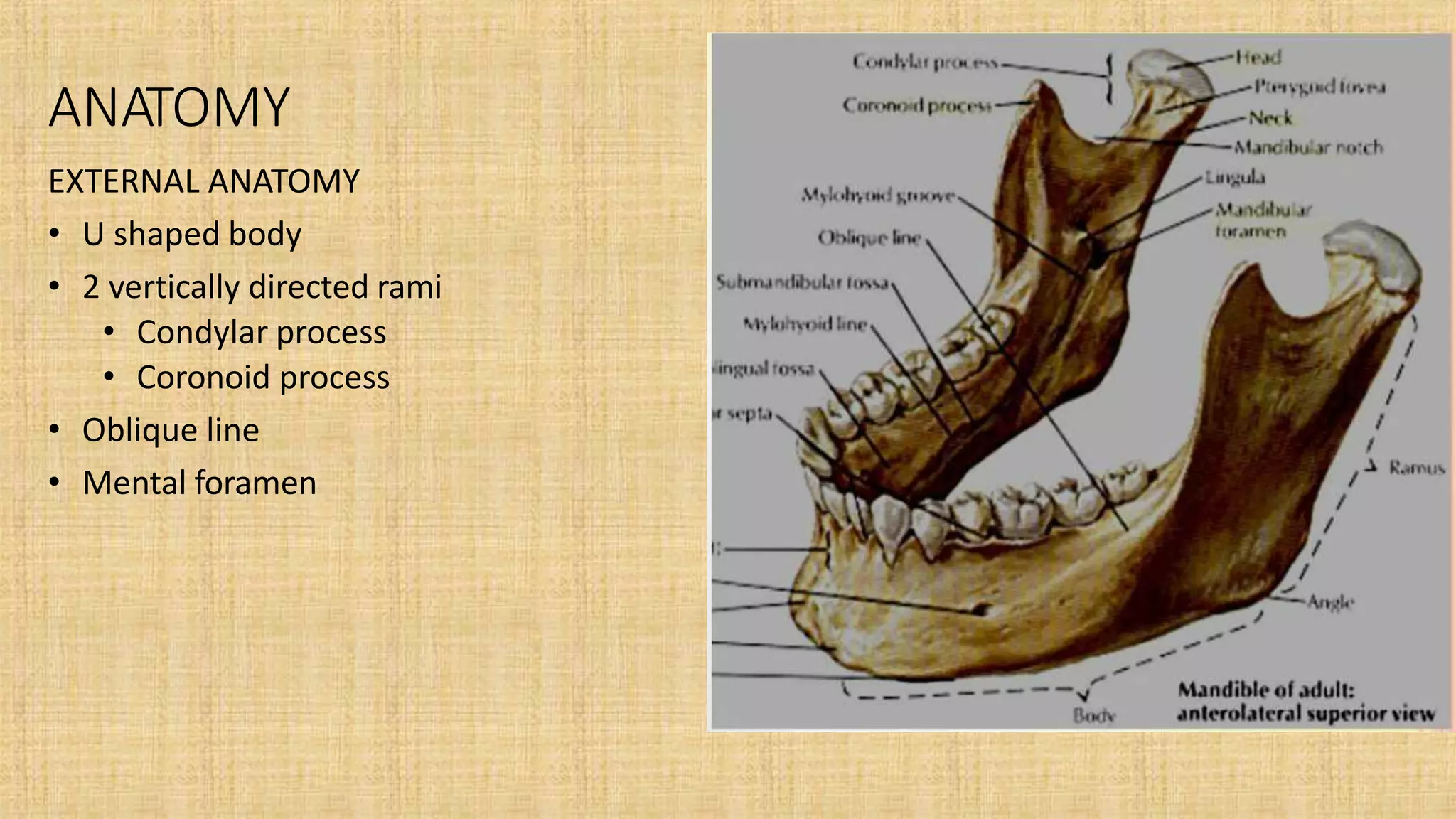 Mandibular Fracture Closed Reduction Ppt