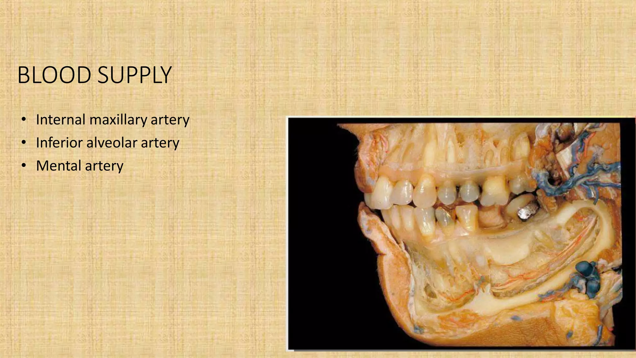 Mandibular Fracture Closed Reduction Ppt
