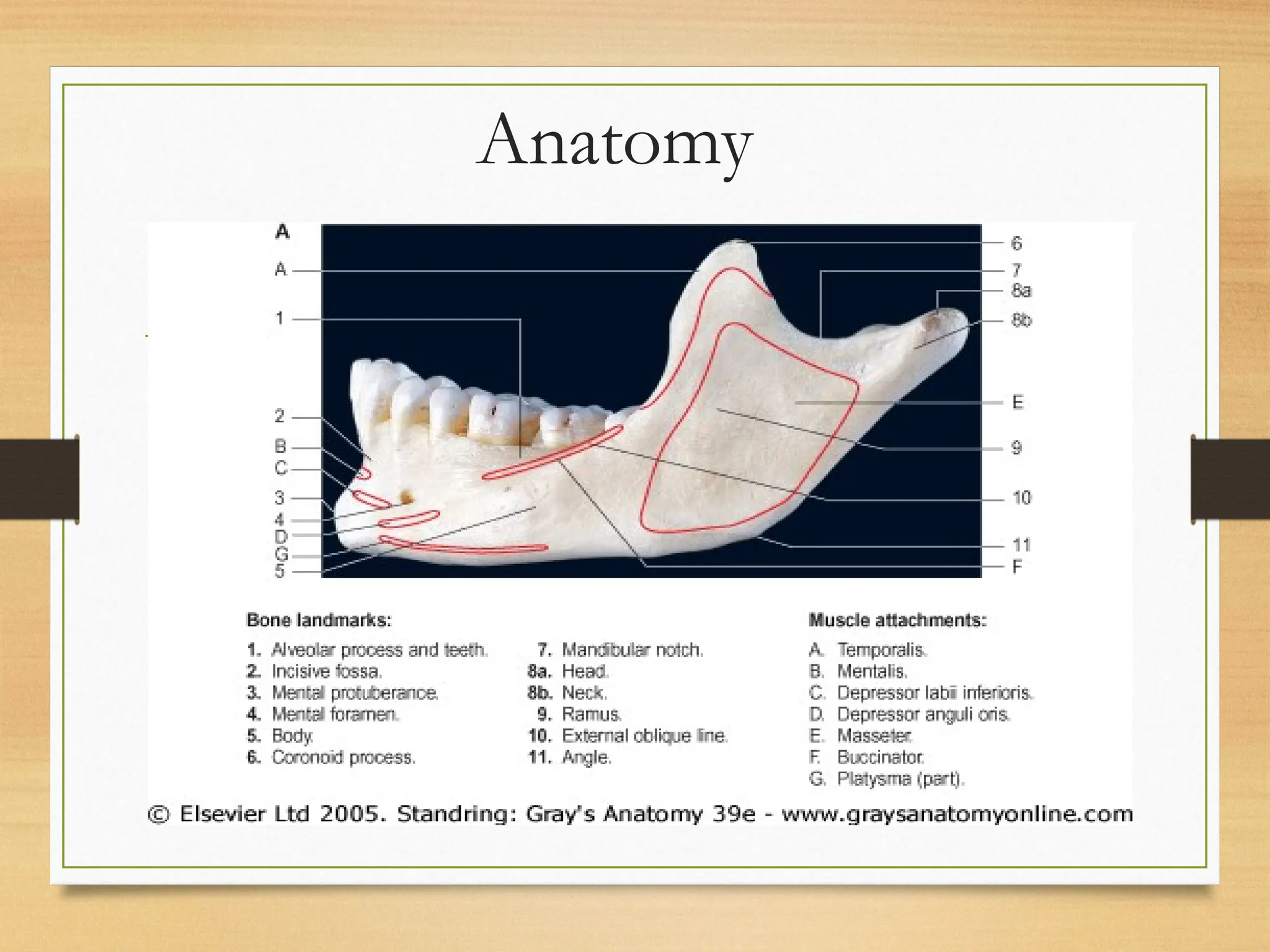 Mandibular fractures classification, management | PPTX