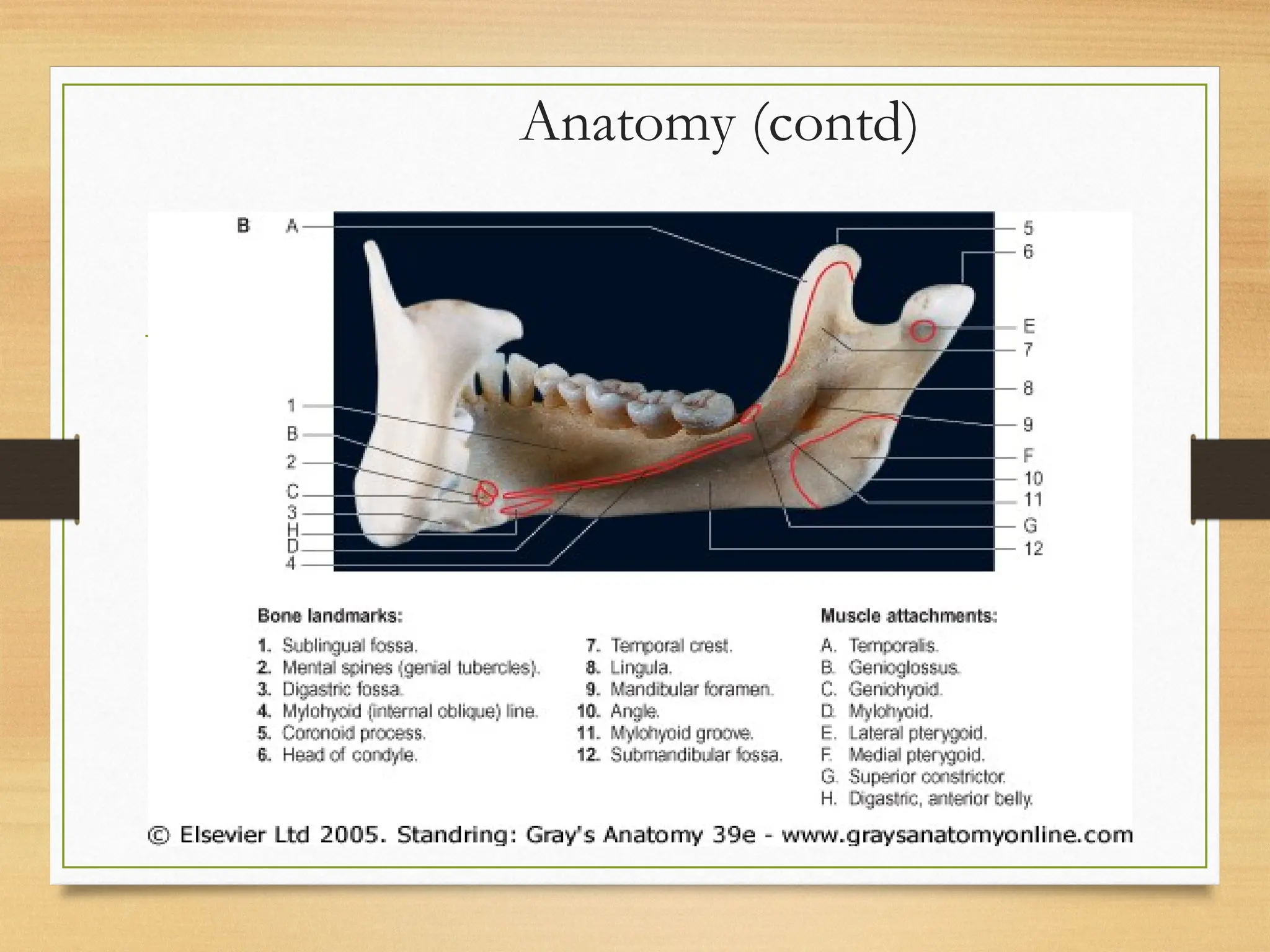 Mandibular fractures classification, management | PPTX