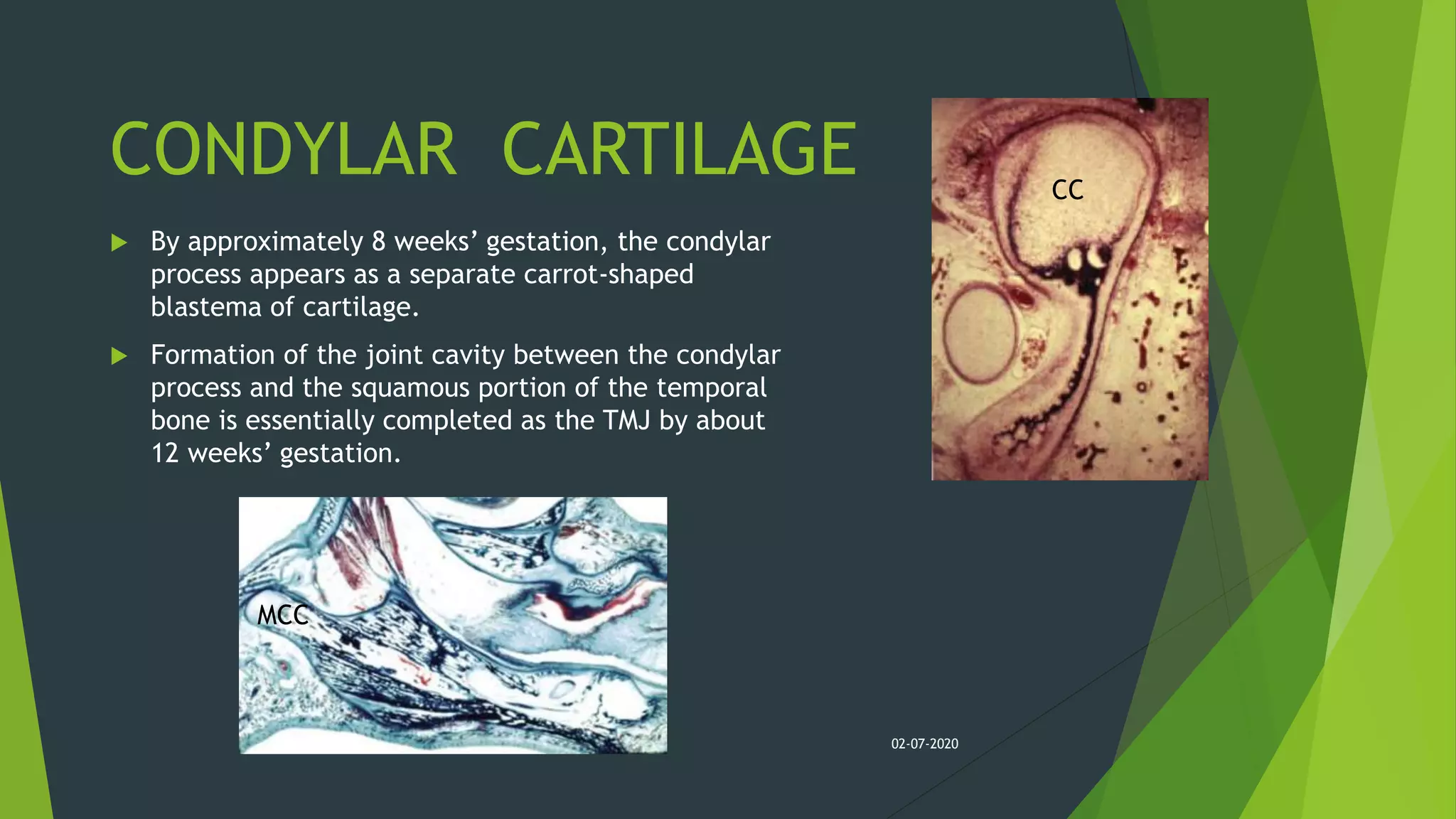 PRE AND POST NATAL GROWTH OF MANDIBLE | PPTX