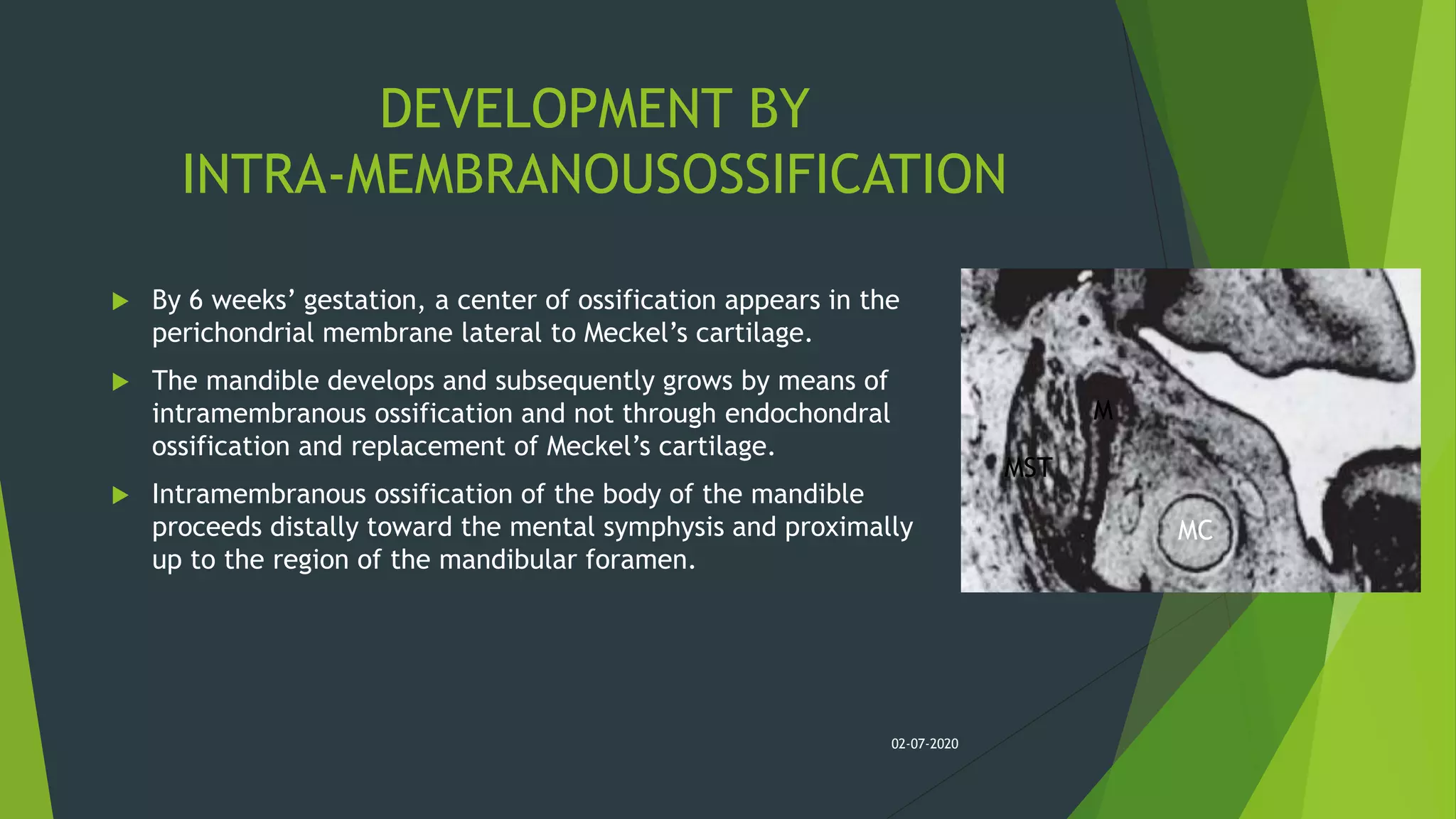 PRE AND POST NATAL GROWTH OF MANDIBLE | PPTX