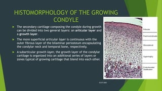 PRE AND POST NATAL GROWTH OF MANDIBLE | PPTX