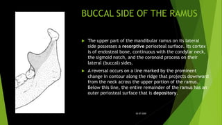 PRE AND POST NATAL GROWTH OF MANDIBLE | PPTX