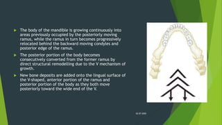 PRE AND POST NATAL GROWTH OF MANDIBLE | PPTX
