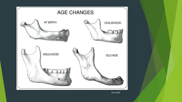 PRE AND POST NATAL GROWTH OF MANDIBLE | PPTX | Bone and Joint Conditions | Diseases and Conditions