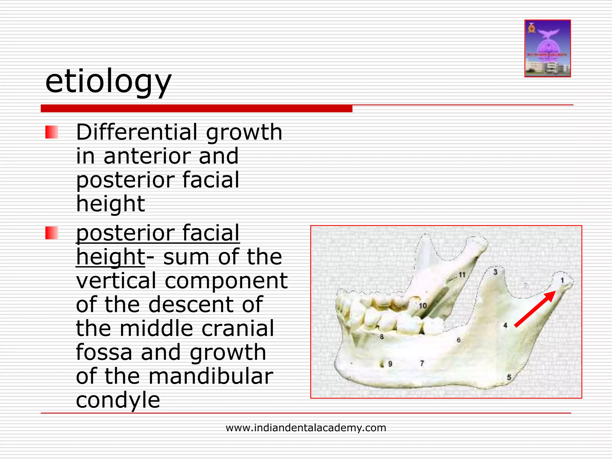 Mandibular growth rotation (2)/certified fixed orthodontic courses by ...