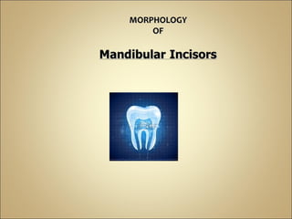 morphology of mandibular central and lateral incisors teeth | PPT