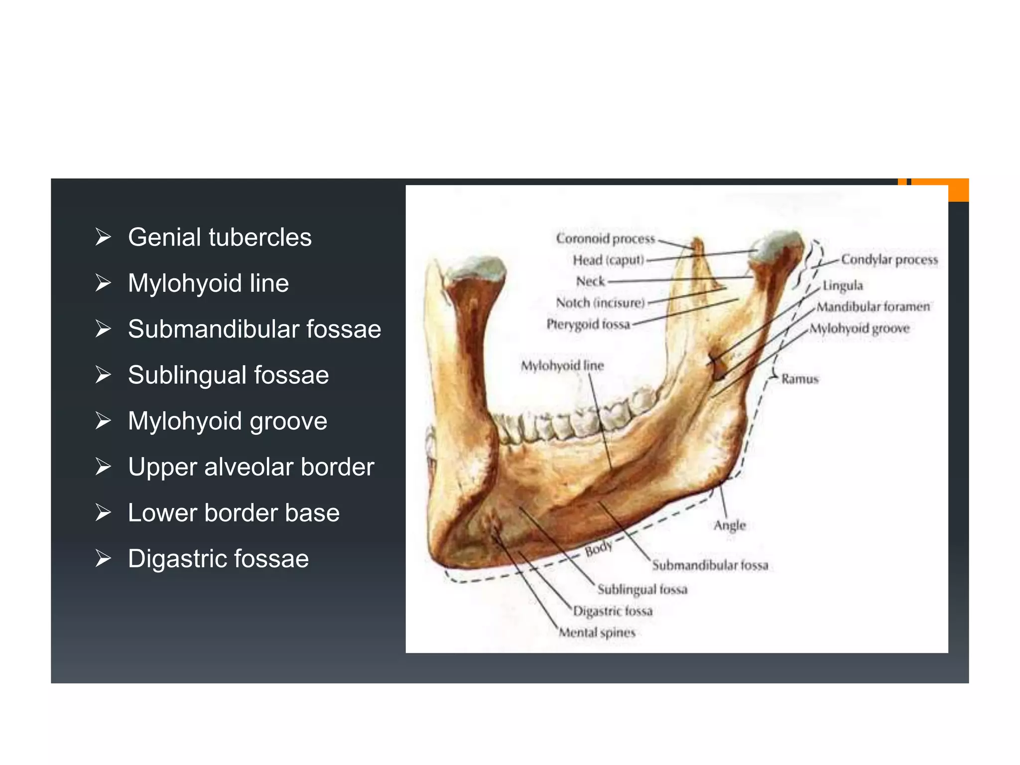 Pattern of Mandibular invasion | PPTX