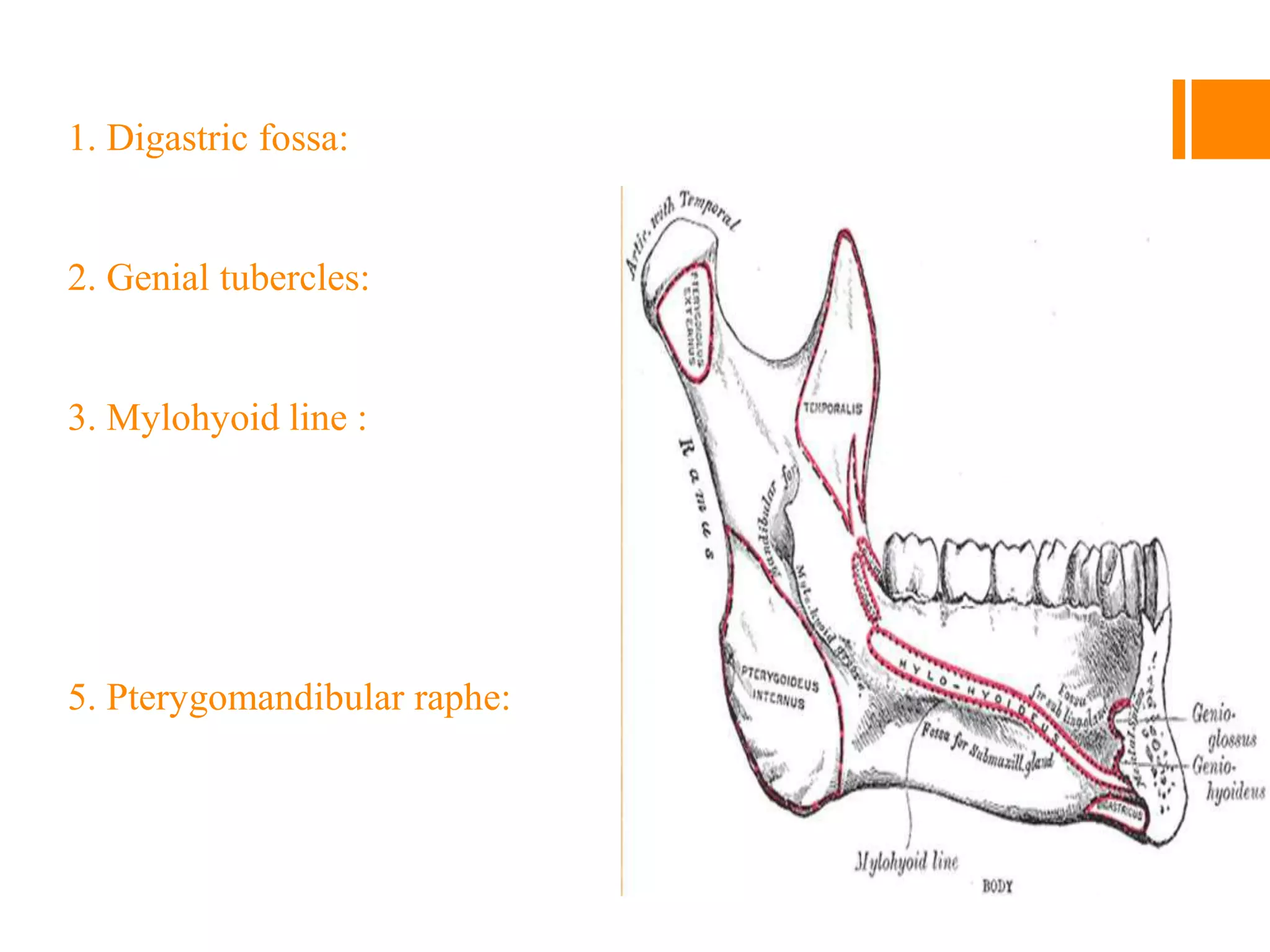 Pattern of Mandibular invasion | PPTX