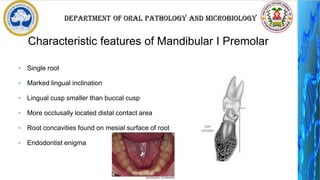 Mandibular I premolar | PPT