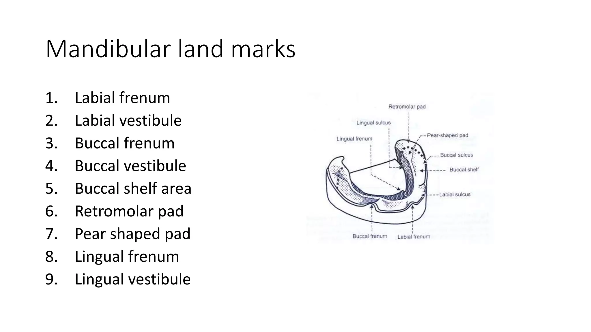 MANDIBULAR ANATOMICAL LANDMARKS | PPTX