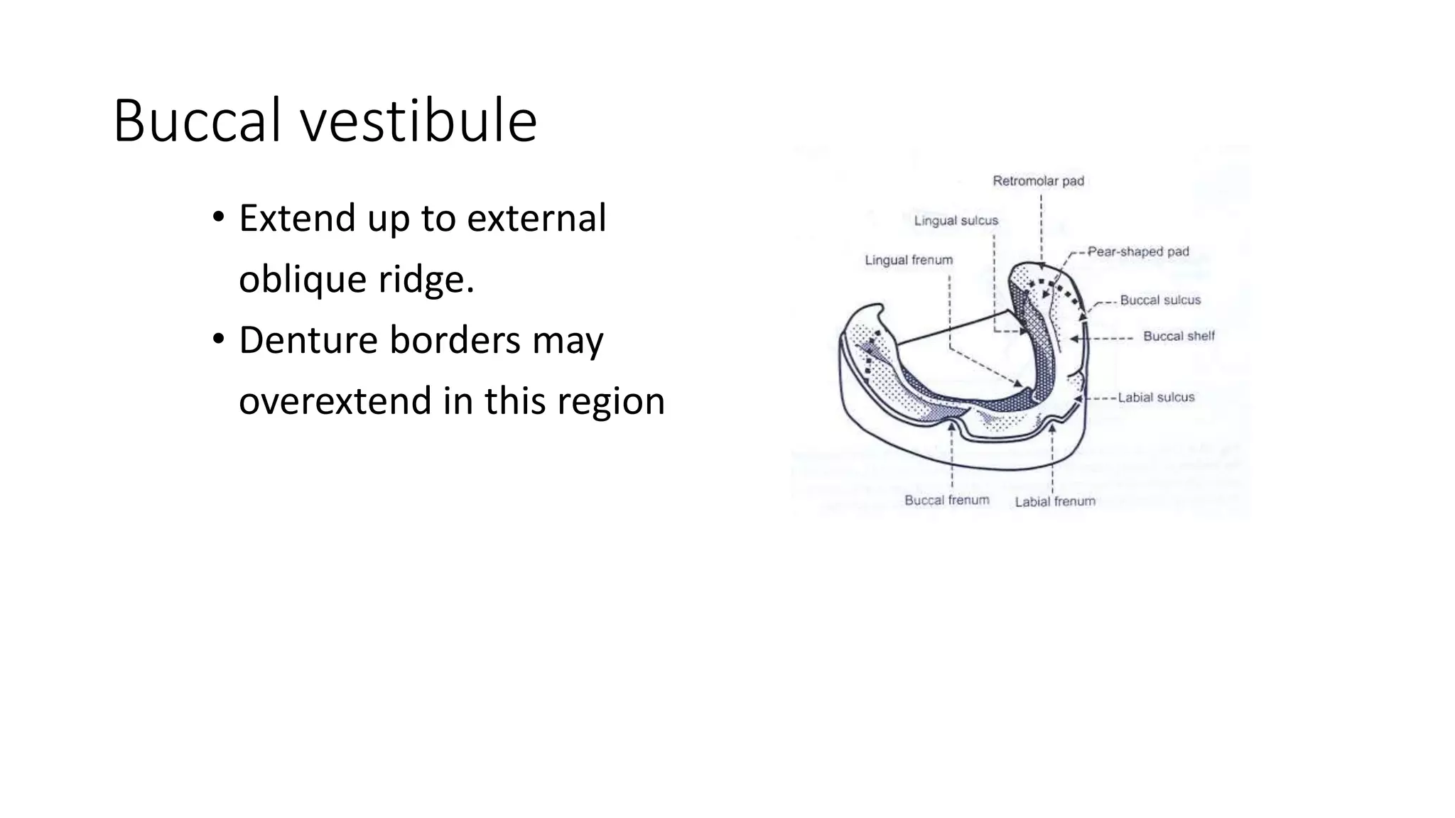 MANDIBULAR ANATOMICAL LANDMARKS | PPTX