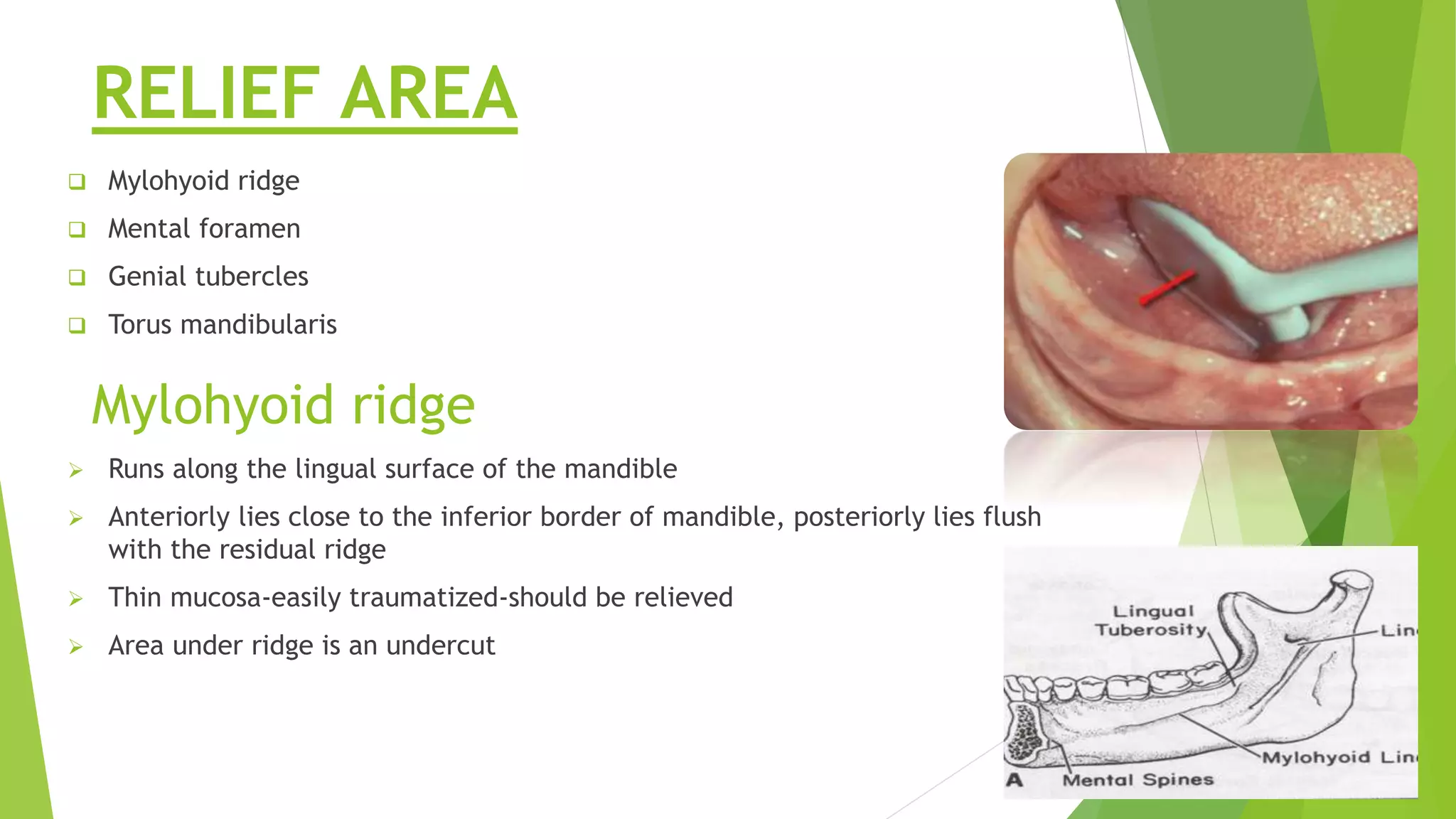 Mandibular landmarks | PPTX