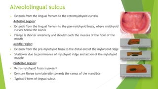 Mandibular landmarks | PPTX