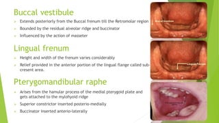 Mandibular landmarks | PPTX
