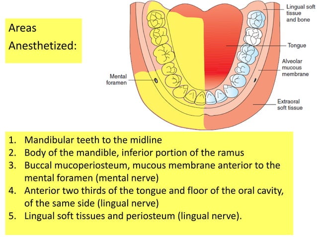 mandibular techniques in your area are here | PDF