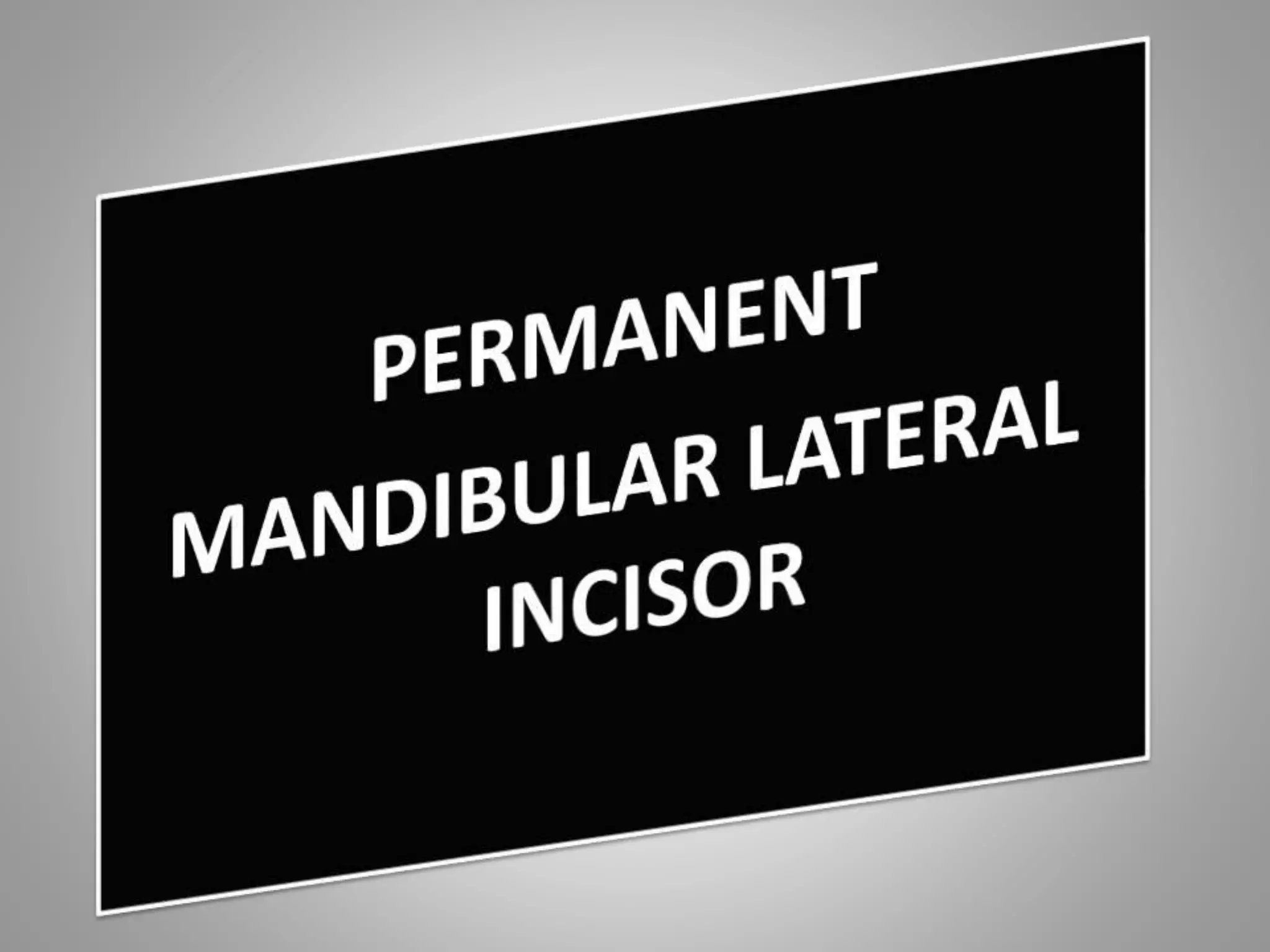 PERMANENT Mandibular lateral incisor | PPT