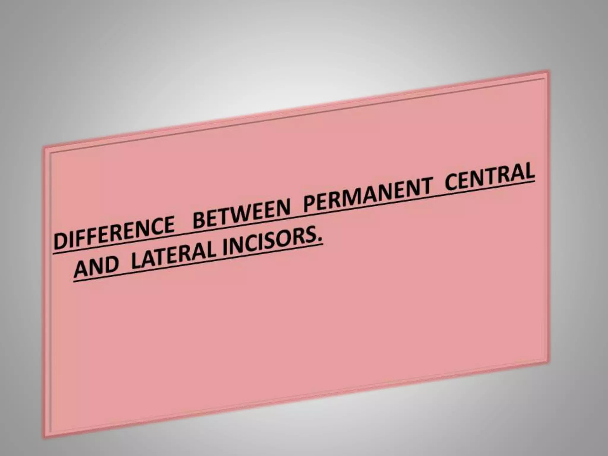 PERMANENT Mandibular lateral incisor | PPT