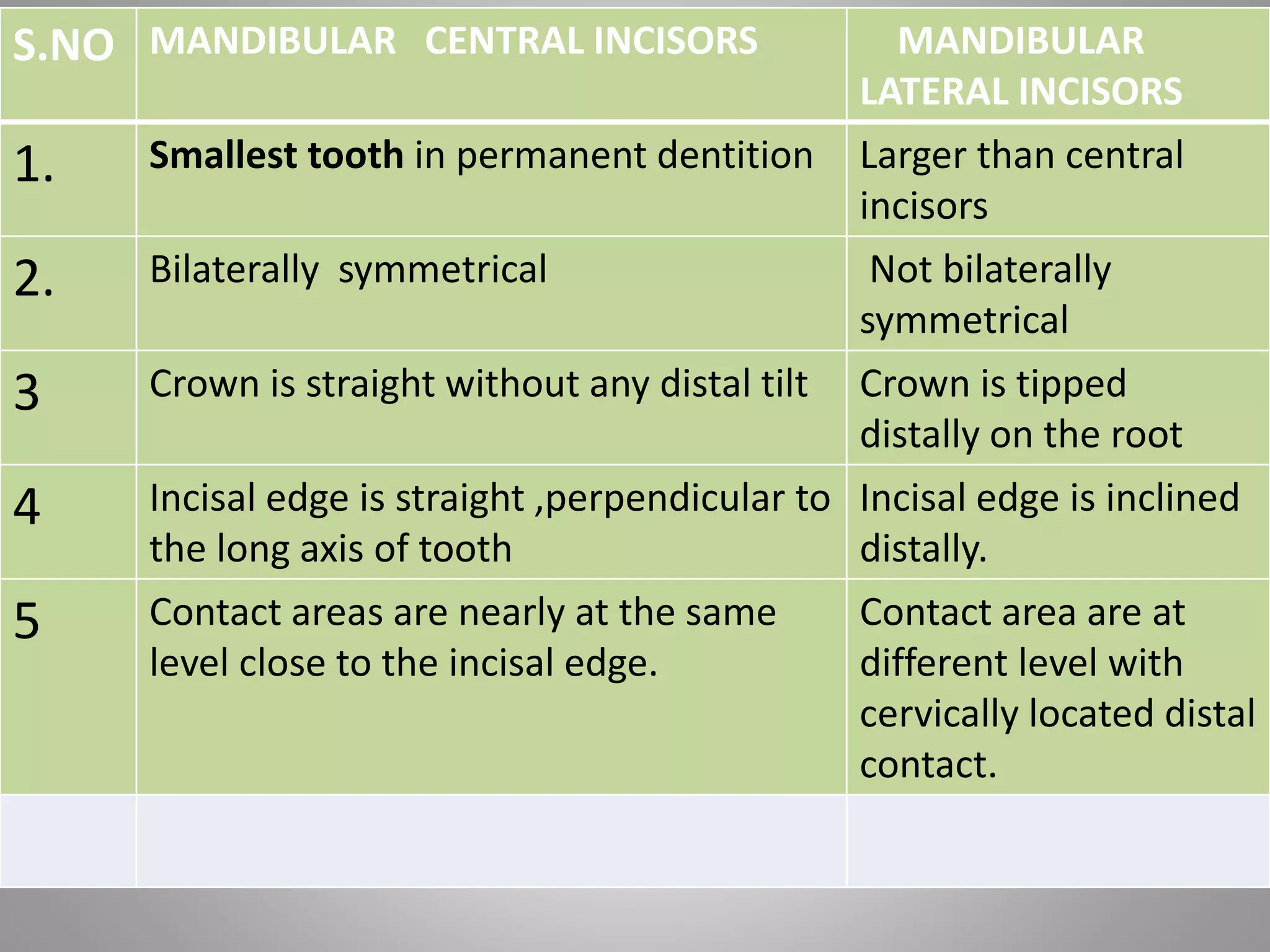 PERMANENT Mandibular lateral incisor | PPT