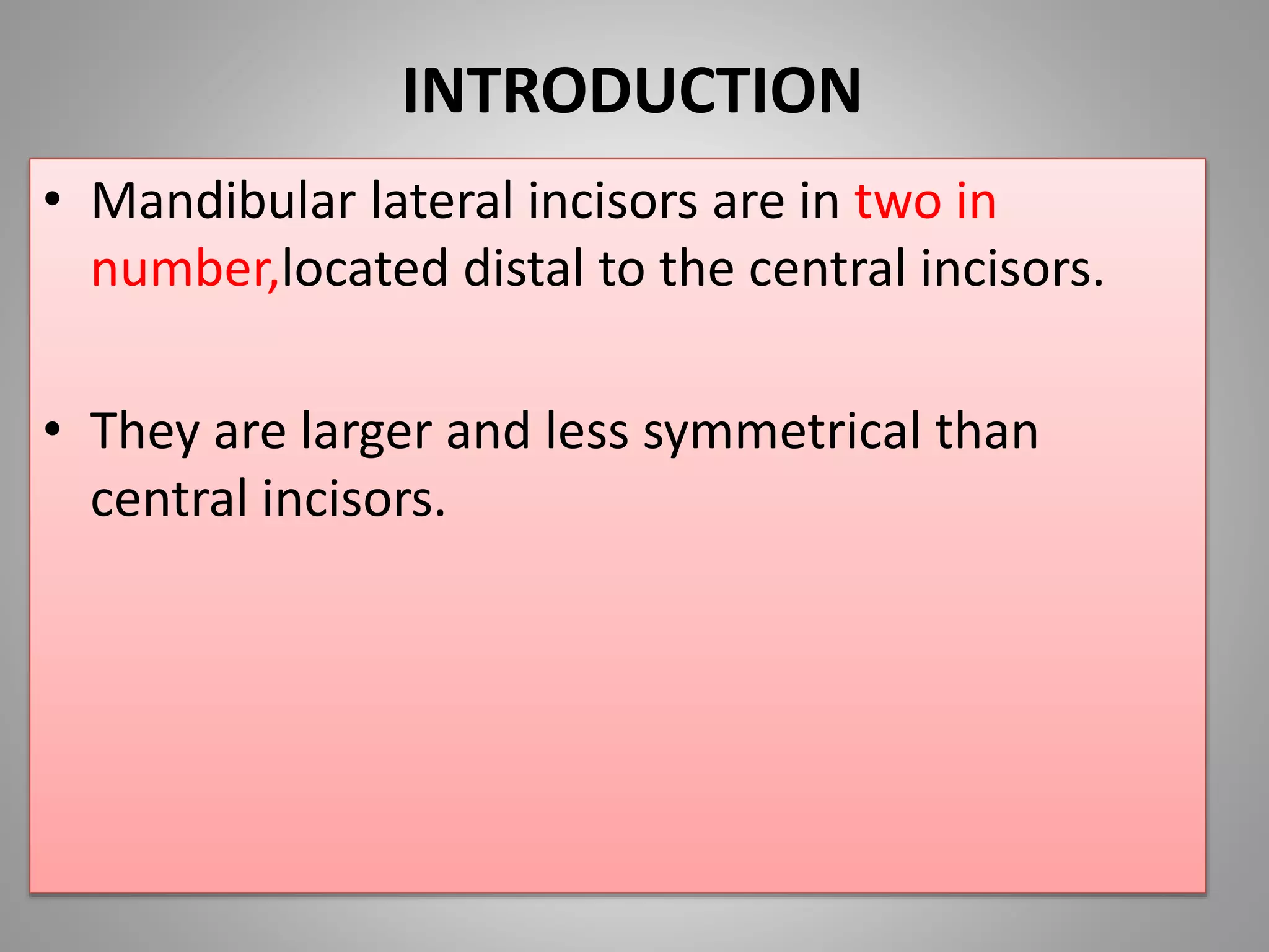 PERMANENT Mandibular lateral incisor | PPT