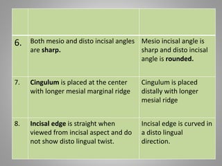 PERMANENT Mandibular lateral incisor | PPT