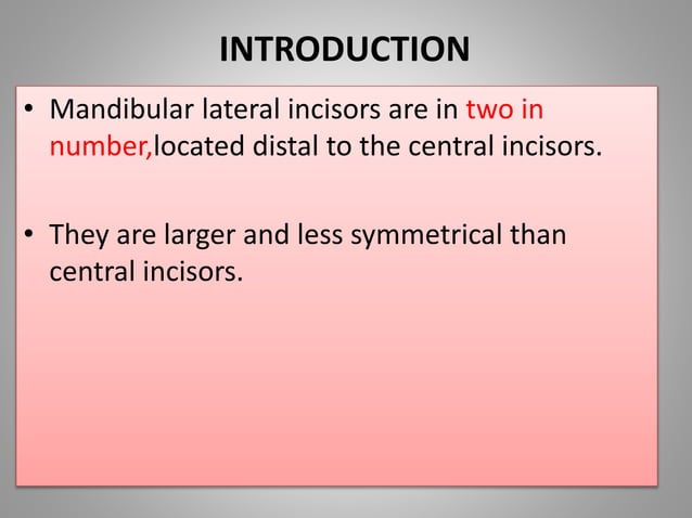 PERMANENT Mandibular lateral incisor | PPT