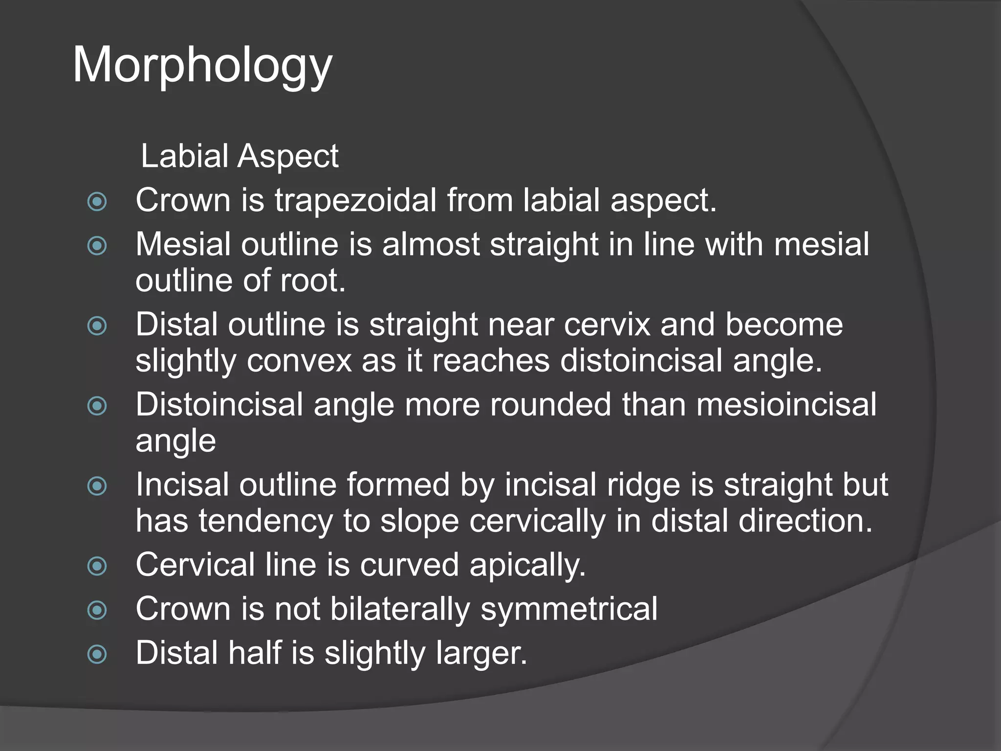 MANDIBULAR LATERAL INCISOR.pptx