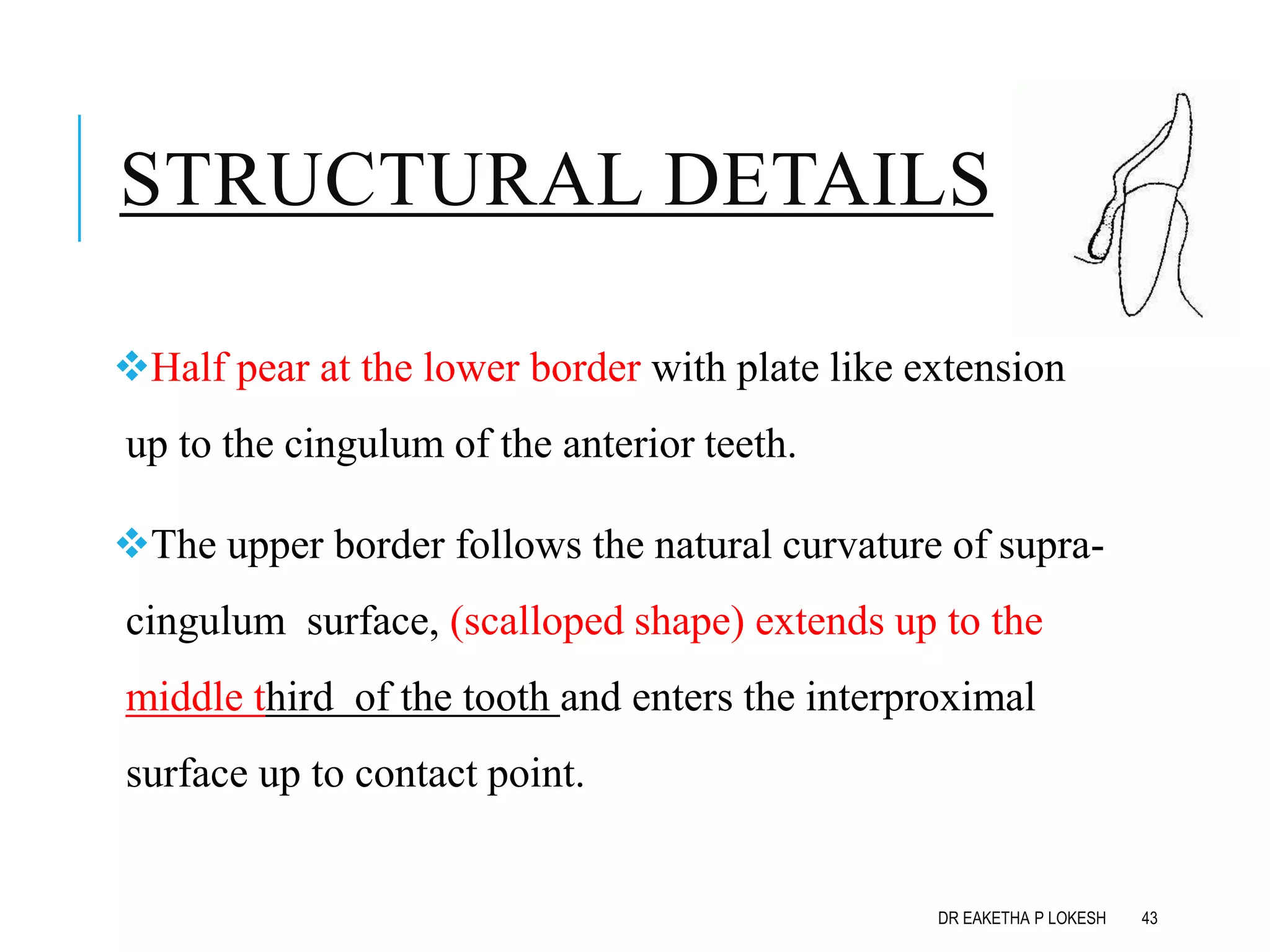 Mandibular major connectors | PPTX