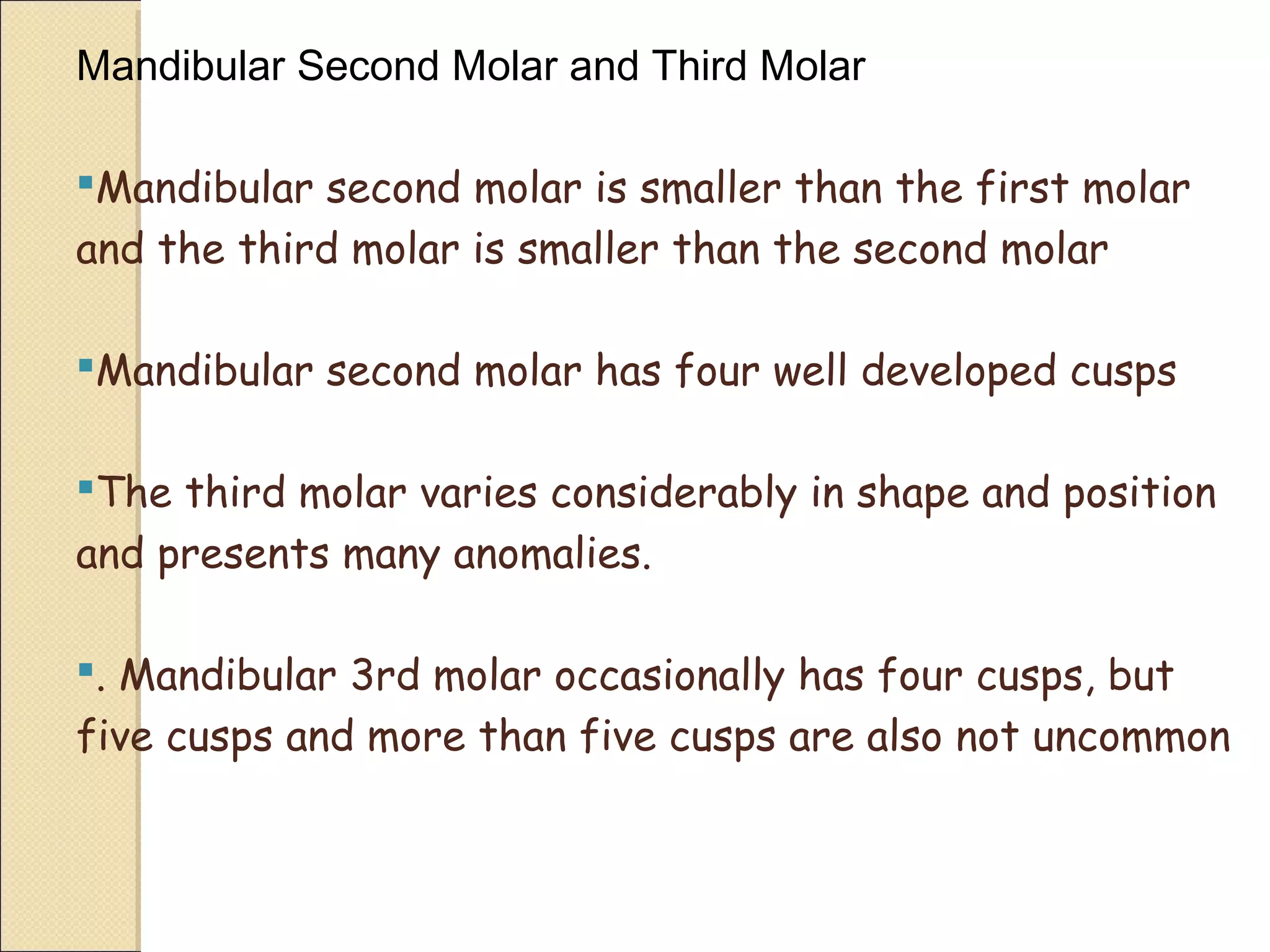morphology of mandibular 1st,2nd,3rd molars teeth | PPT