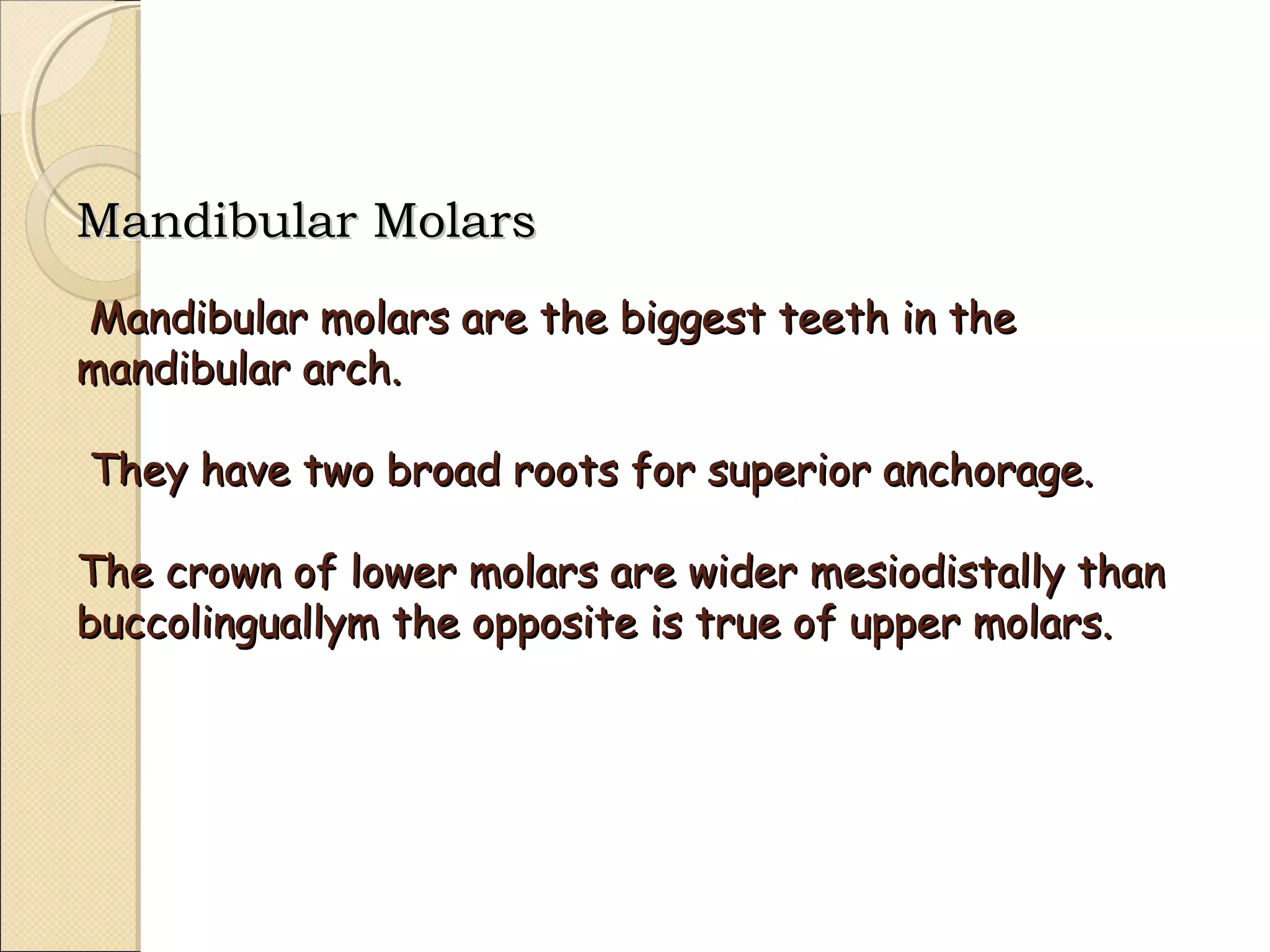 morphology of mandibular 1st,2nd,3rd molars teeth | PPT