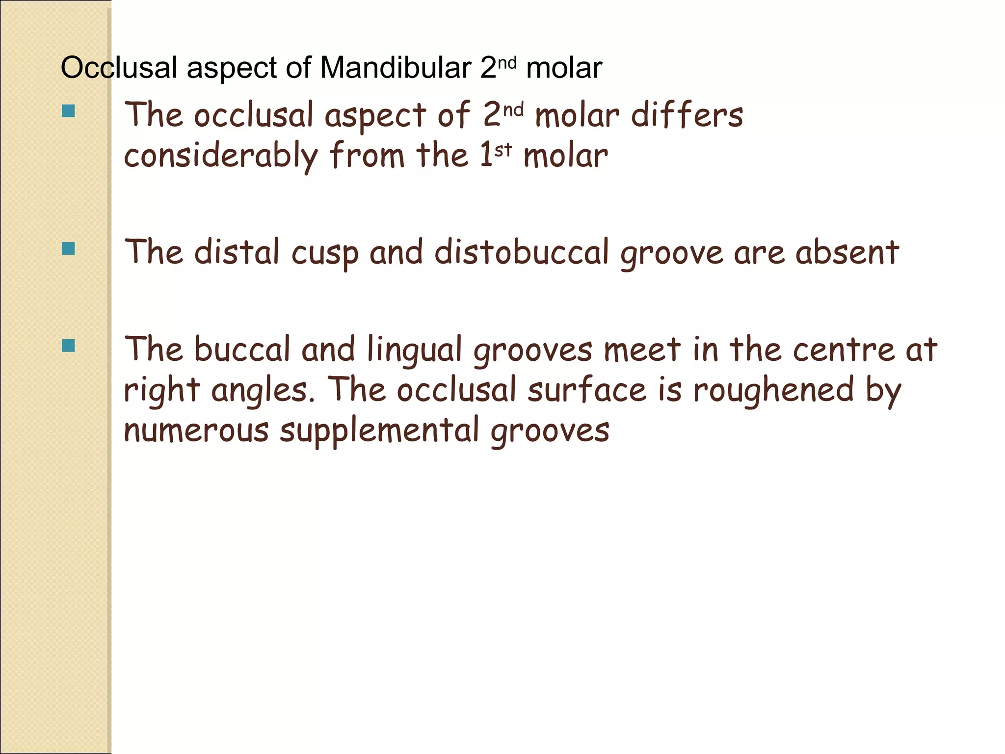 morphology of mandibular 1st,2nd,3rd molars teeth | PPT