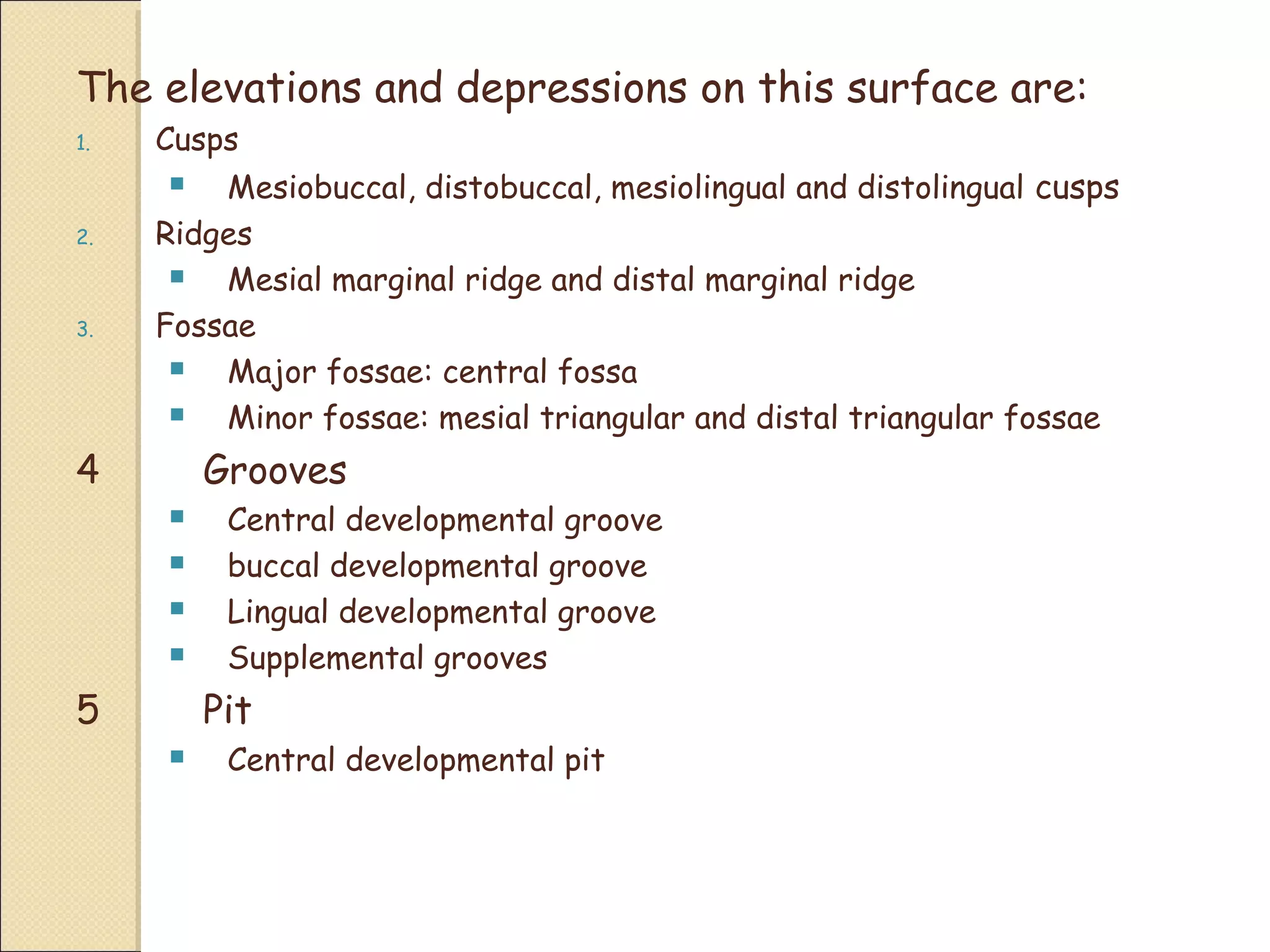 morphology of mandibular 1st,2nd,3rd molars teeth | PPT