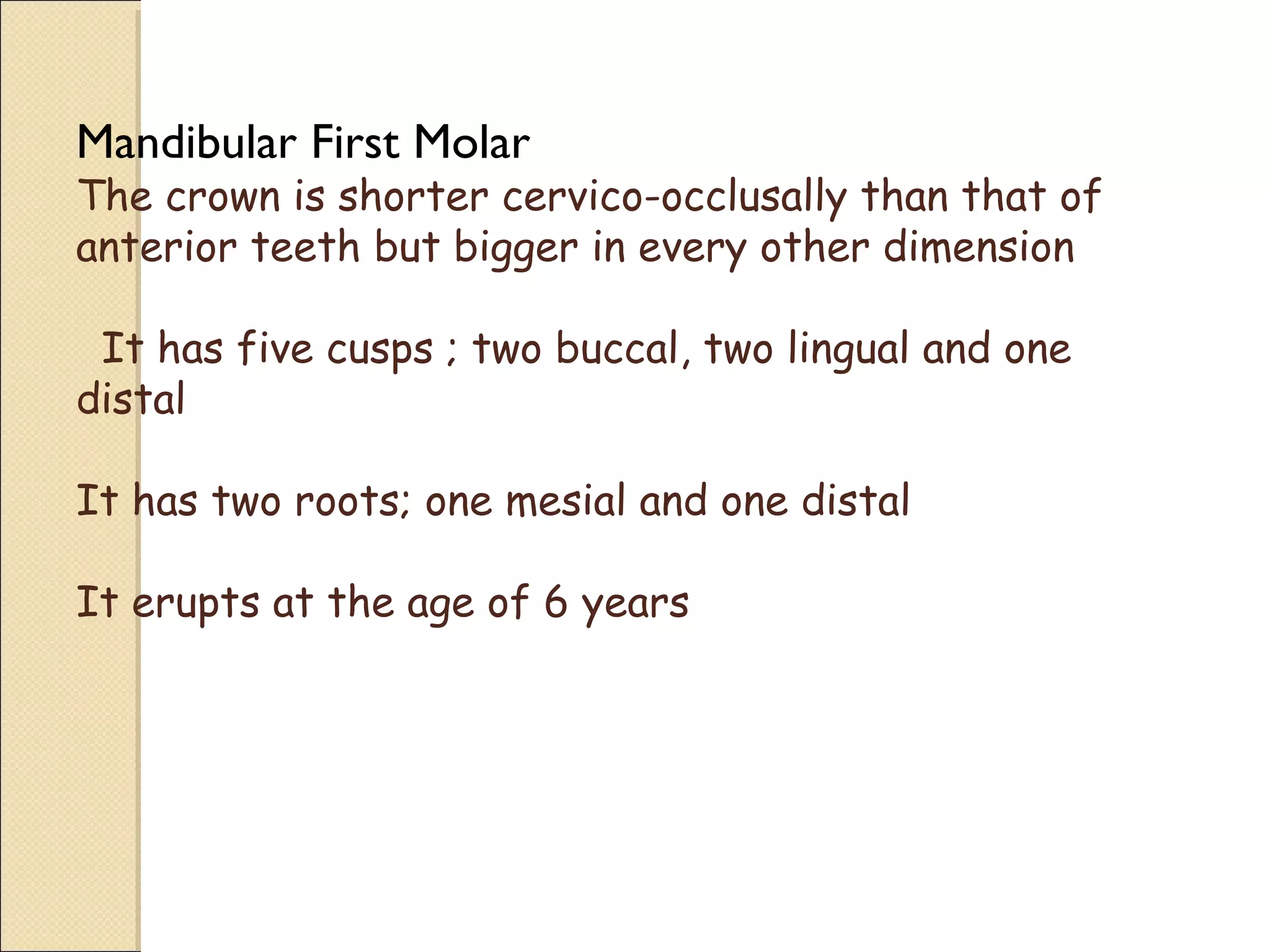 morphology of mandibular 1st,2nd,3rd molars teeth | PPT