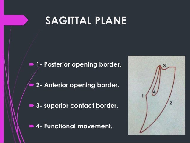 mechanics of Mandibular movement
