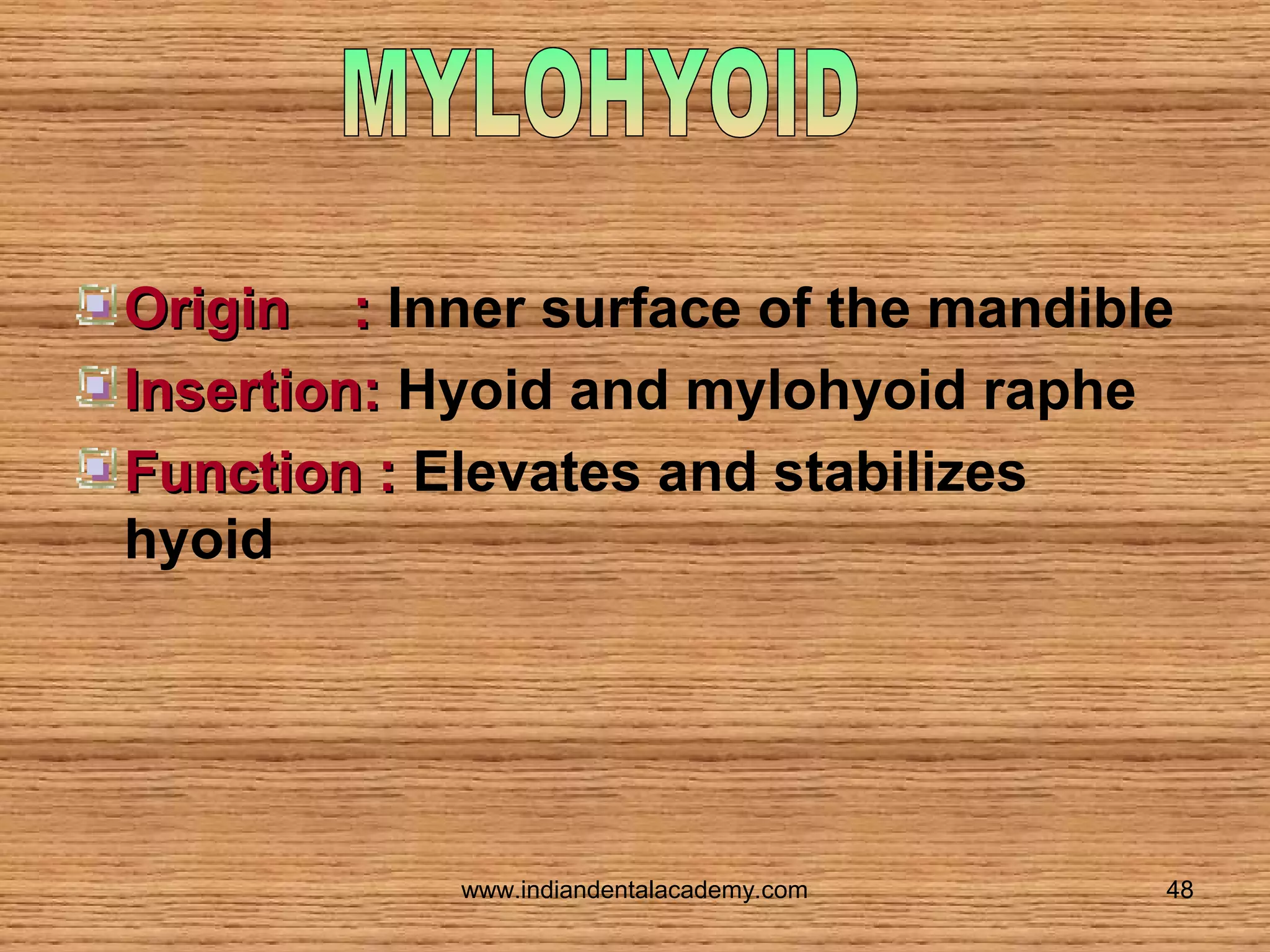 Mandibular movements/ Labial orthodontics | PPT