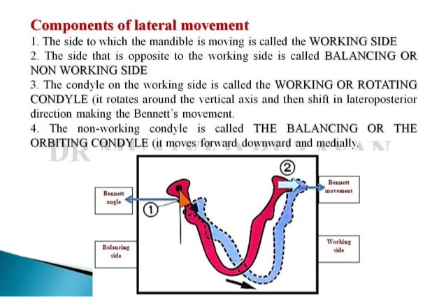 Mandibular movements