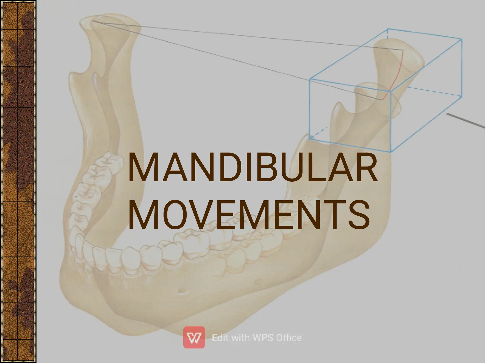 MANDIBULAR MOVEMENTS-2.pdf complete denture *********** | PDF