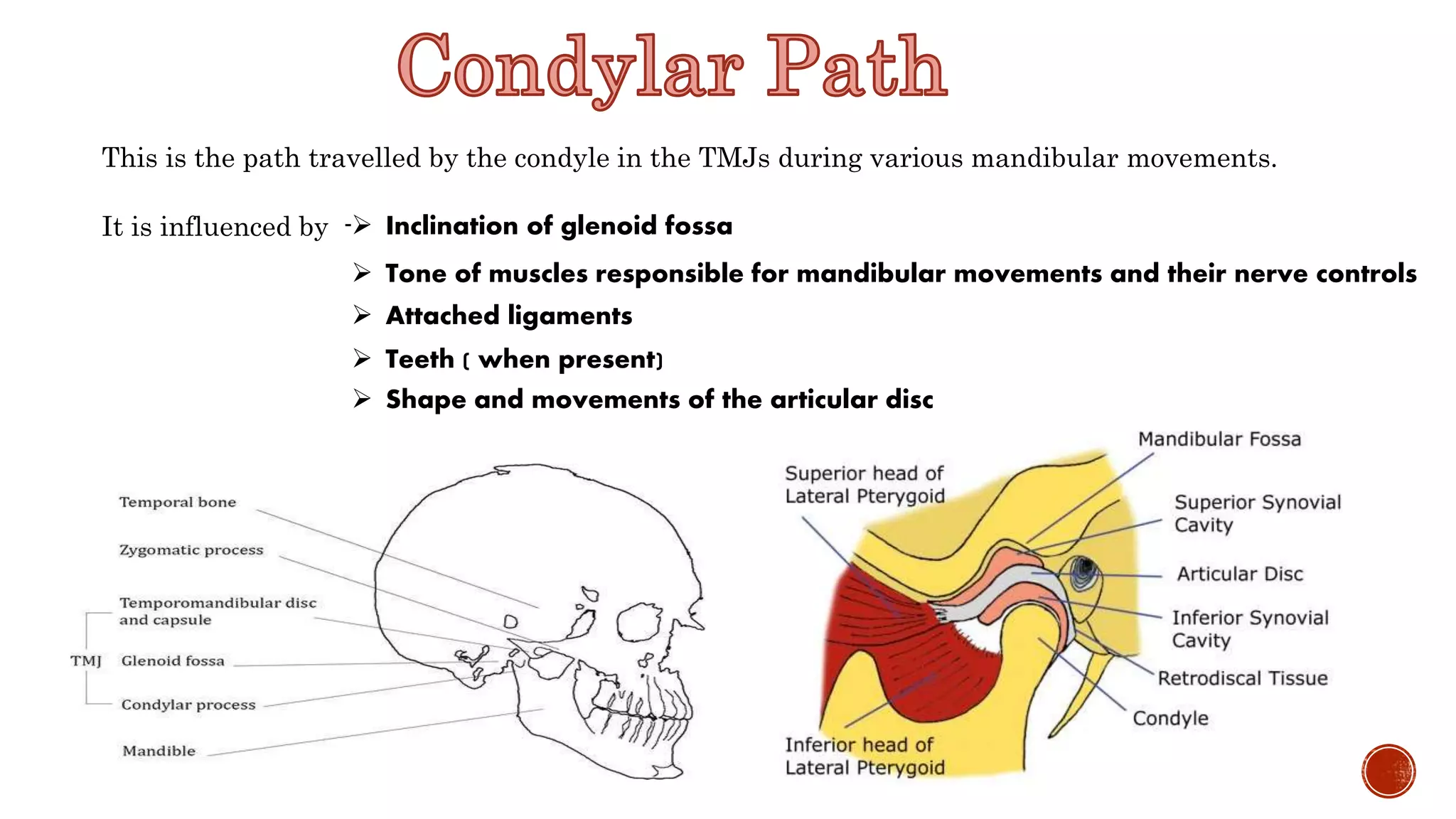 Mandibular movements | PPTX