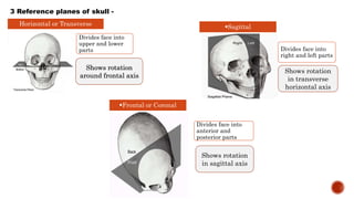 Mandibular movements | PPTX
