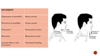 Mandibular movements | PPTX | Dental Health | Diseases and Conditions