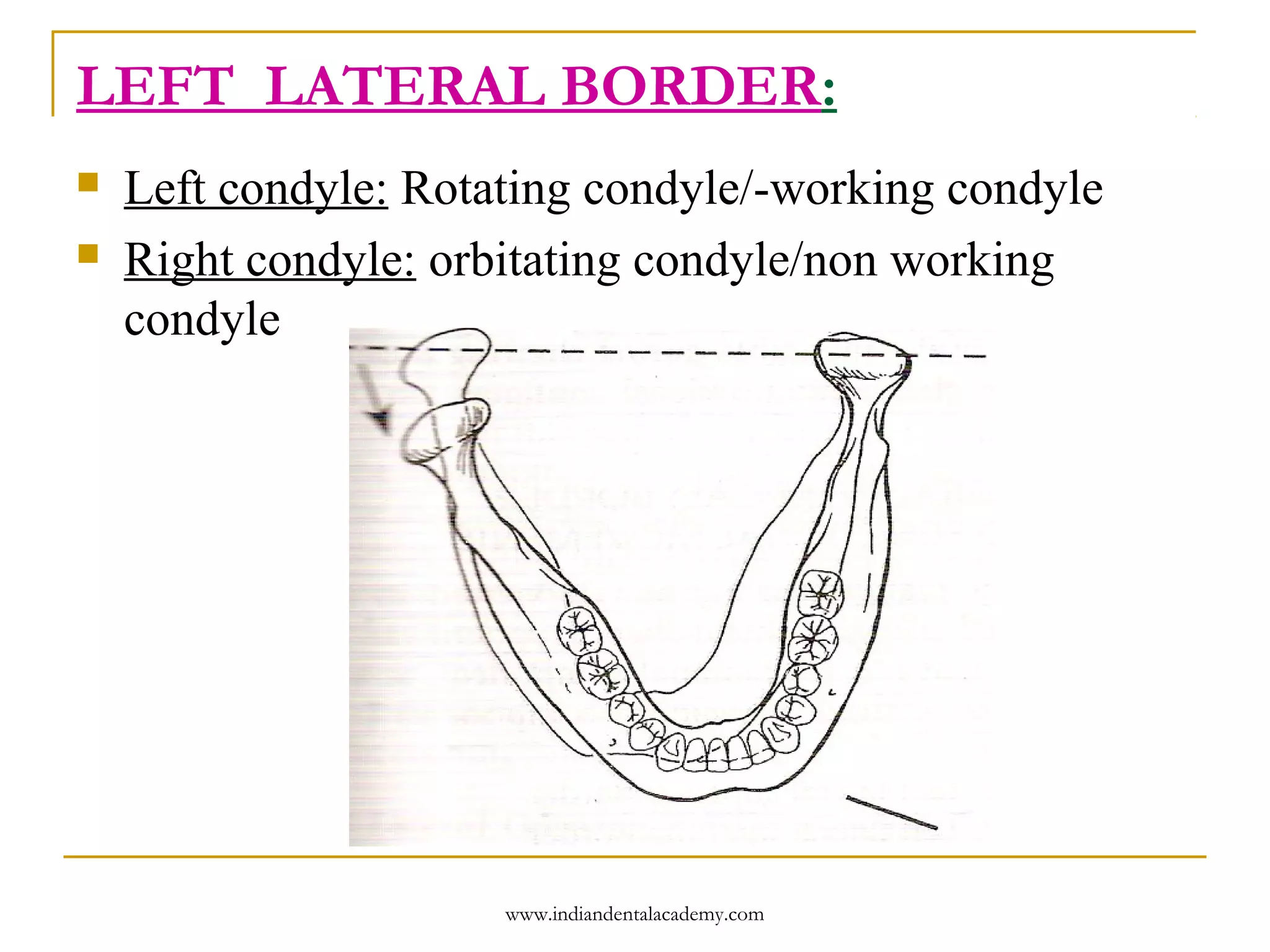 Mandibular movements /cosmetic dentistry courses | PPT