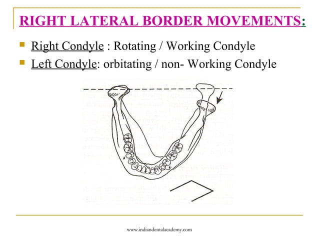 Mandibular movements /cosmetic dentistry courses | PPT | Dental Health ...
