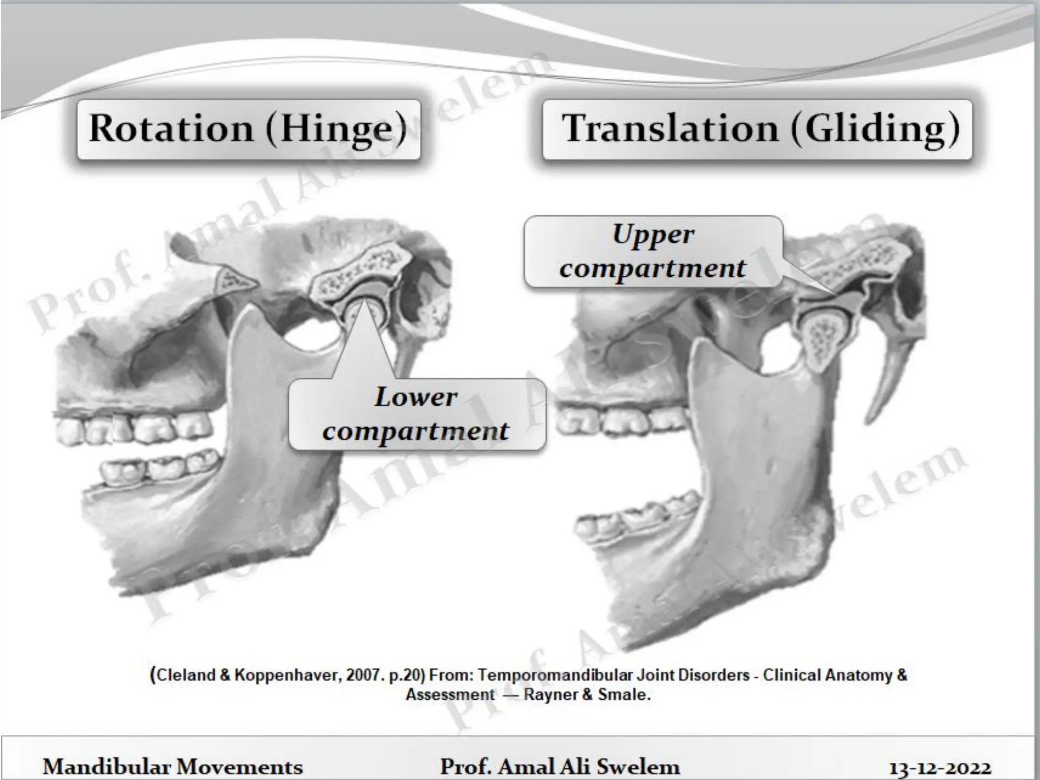 Mandibular Movements Handouts- Prof. Amal Ali Swelem.pdf